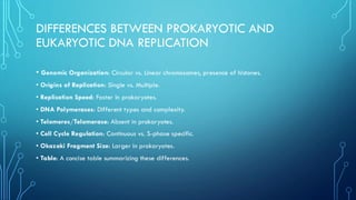 DNA replication KEY CONCEPT SEMI-CONSERVATIVE MODEL FIDELITY OF ...