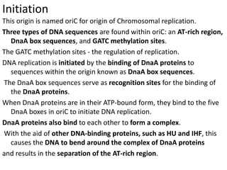 DNA replications and the molecular biology | PDF