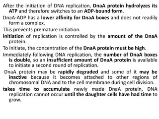 DNA replications and the molecular biology | PDF