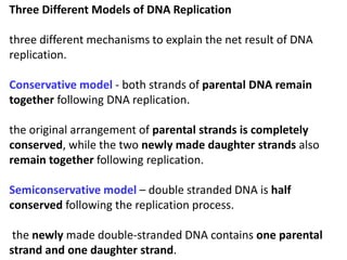 DNA replications and the molecular biology | PDF