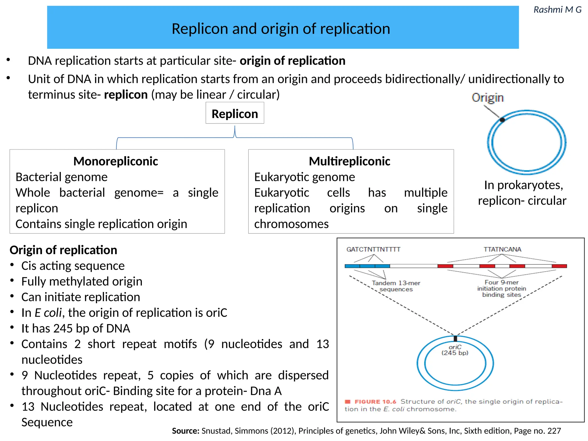 DNA replication (Introduction, methods, biochemistry, steps involved ...
