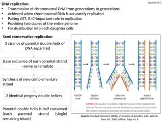 DNA replication (Introduction, methods, biochemistry, steps involved ...