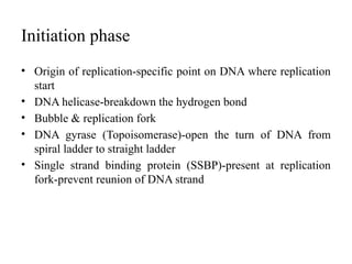 DNA REPLICATION Process in Eukaryotes .pptx