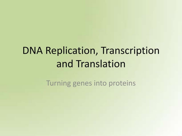 Dna replication bio10 | PPTX | Chemistry | Science