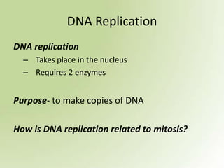 Dna replication bio10 | PPTX | Chemistry | Science