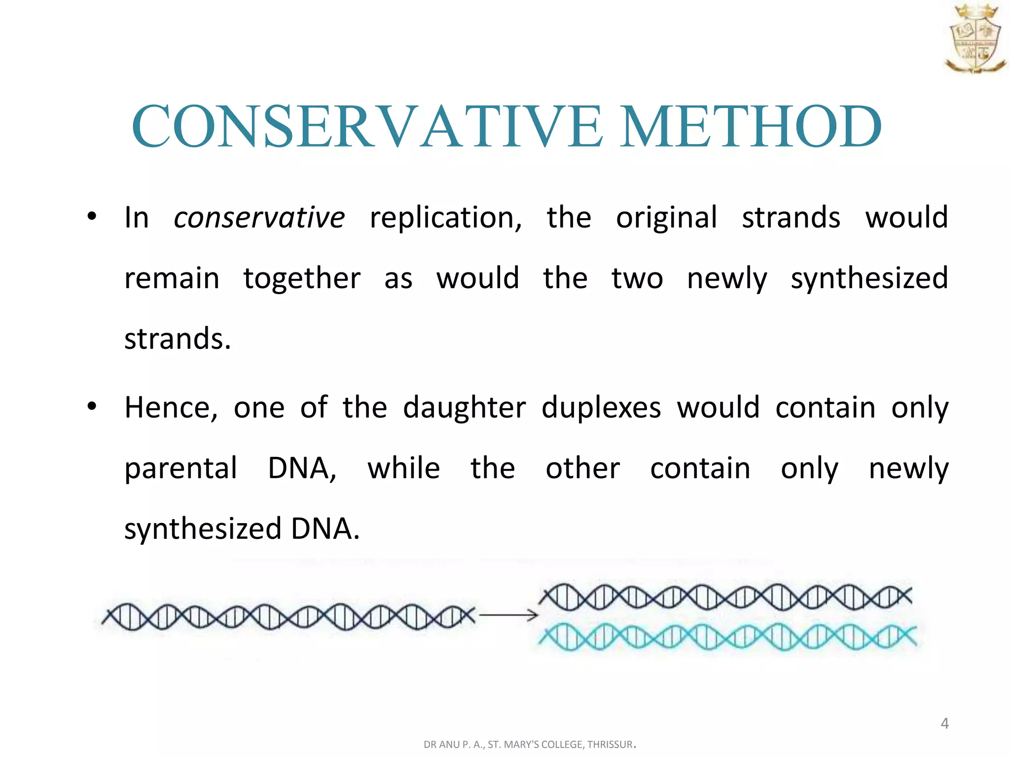 DNA replication prokaryotes | PPTX