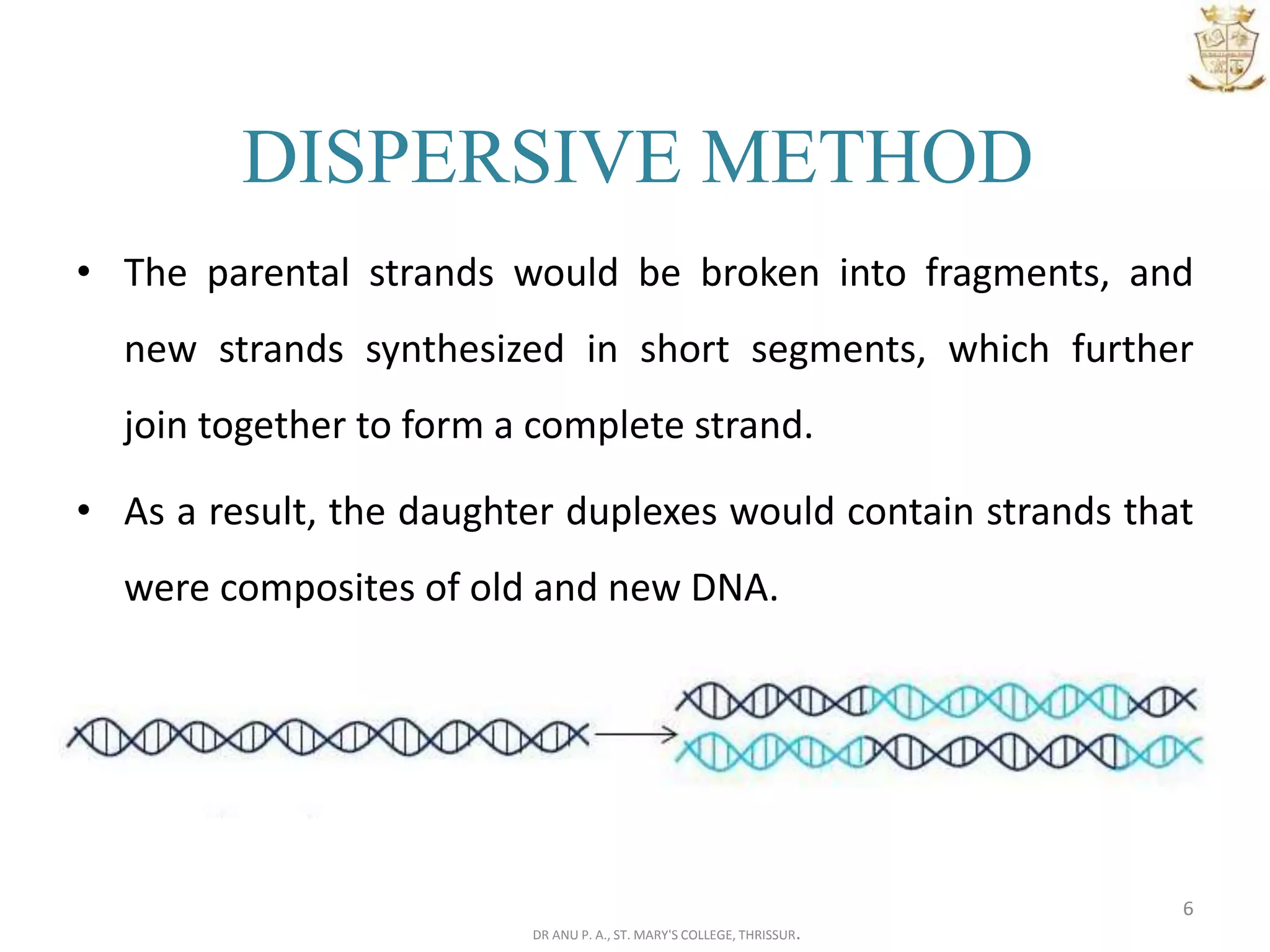 Dna Replication Prokaryotes Ppt