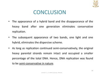 DNA replication prokaryotes | PPTX