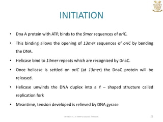 DNA replication prokaryotes | PPTX