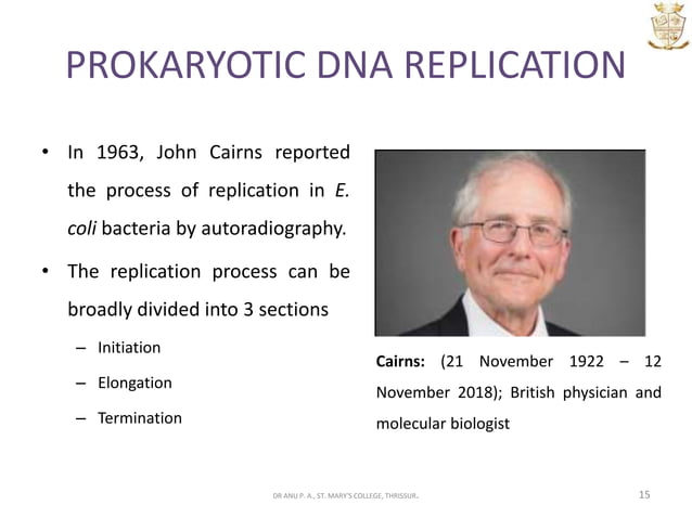 Dna replication prokaryotes | PPT