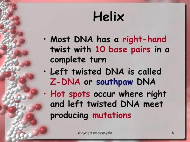 Dna Replication1 Ppt
