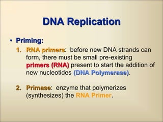 DNA Replication 1.ppt