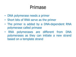 DNA replication (1).ppt
