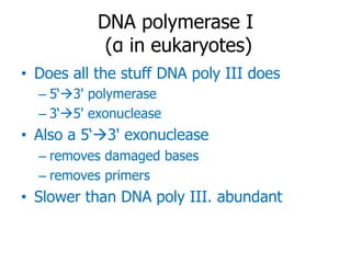 DNA replication (1).ppt