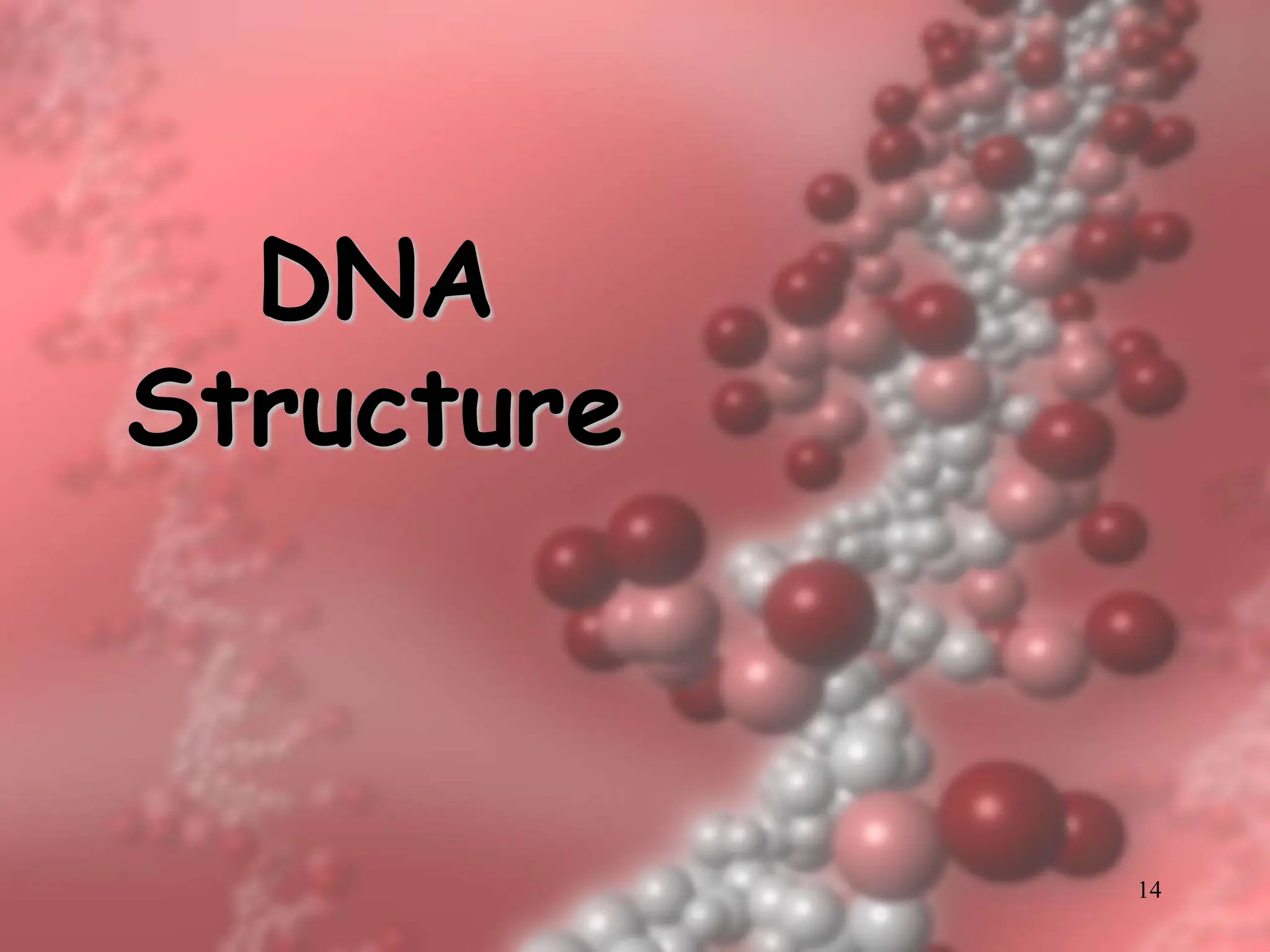 DNA replication1.ppt