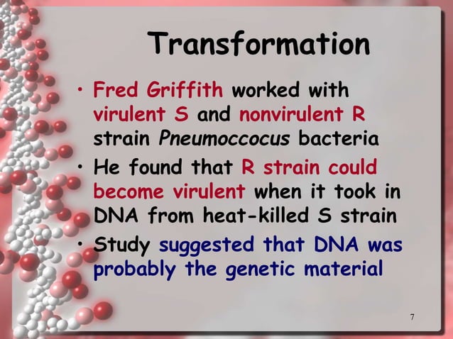 Dna Replication1 Ppt Free Download