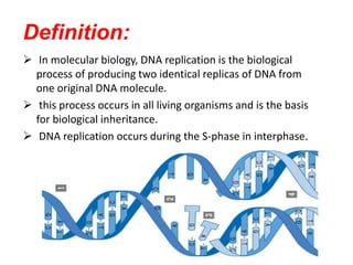 Dna replication (1)[1] | PPT