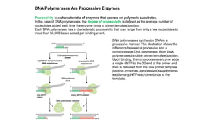 DNA replication process fundamental pptx | PPT