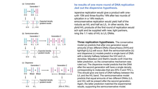DNA replication process fundamental pptx | PPT