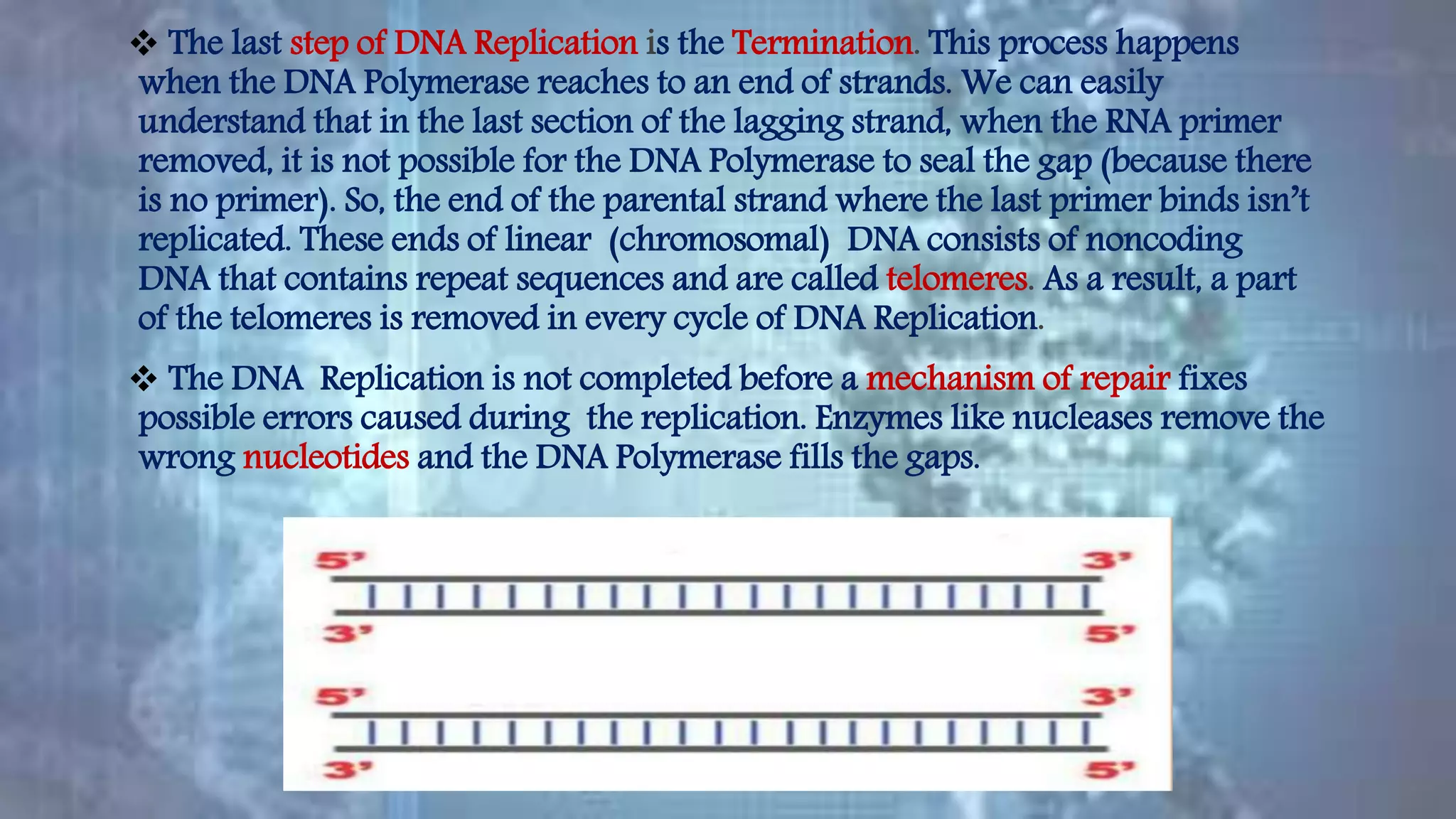 DNA replication | PPTX | Genetics | Science