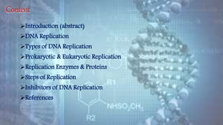 DNA replication | PPTX | Genetics | Science