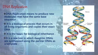 DNA replication | PPTX | Genetics | Science