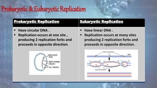 DNA replication | PPTX