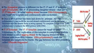 DNA replication | PPTX | Genetics | Science