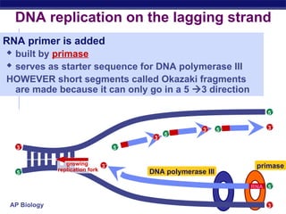 DNA Replication in prokaryotes and eukaryotes | PPT