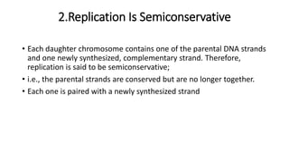 Dna replication 31 | PPTX