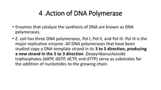 Dna replication 31 | PPTX