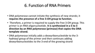 Dna replication 31 | PPT