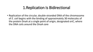 Dna replication 31 | PPT