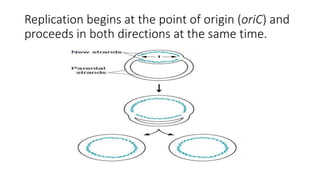Dna replication 31 | PPTX