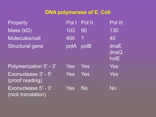 DNA replication of genetic information.ppt