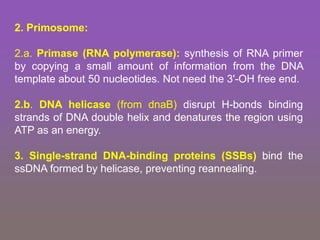 DNA replication of genetic information.ppt