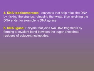 DNA replication of genetic information.ppt