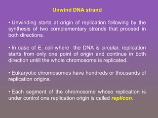 DNA replication of genetic information.ppt