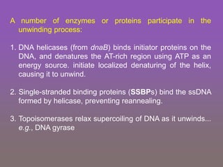 DNA replication of genetic information.ppt