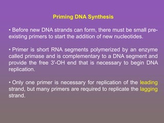 DNA replication of genetic information.ppt