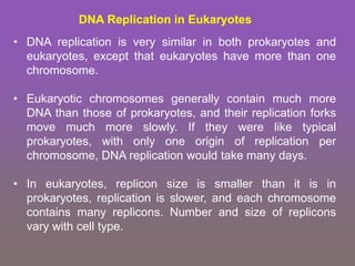 DNA replication of genetic information.ppt