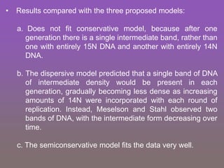 DNA replication of genetic information.ppt