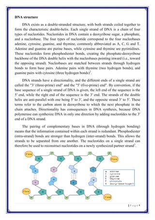 Dna replication and importance of its inhibition pdf | PDF