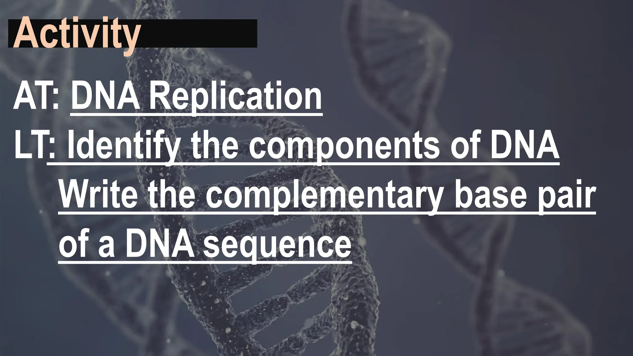 DNA Replication and Protein Synthesis.pdf