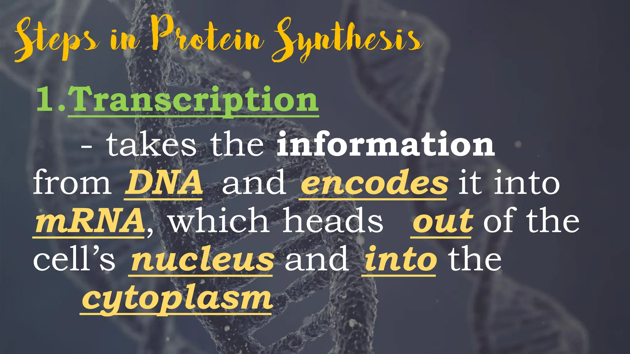 DNA Replication and Protein Synthesis.pdf