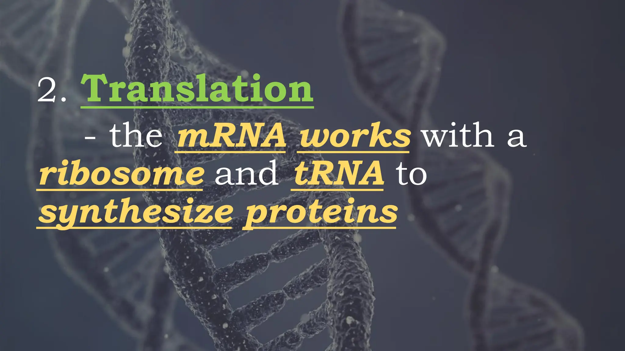 DNA Replication and Protein Synthesis.pdf