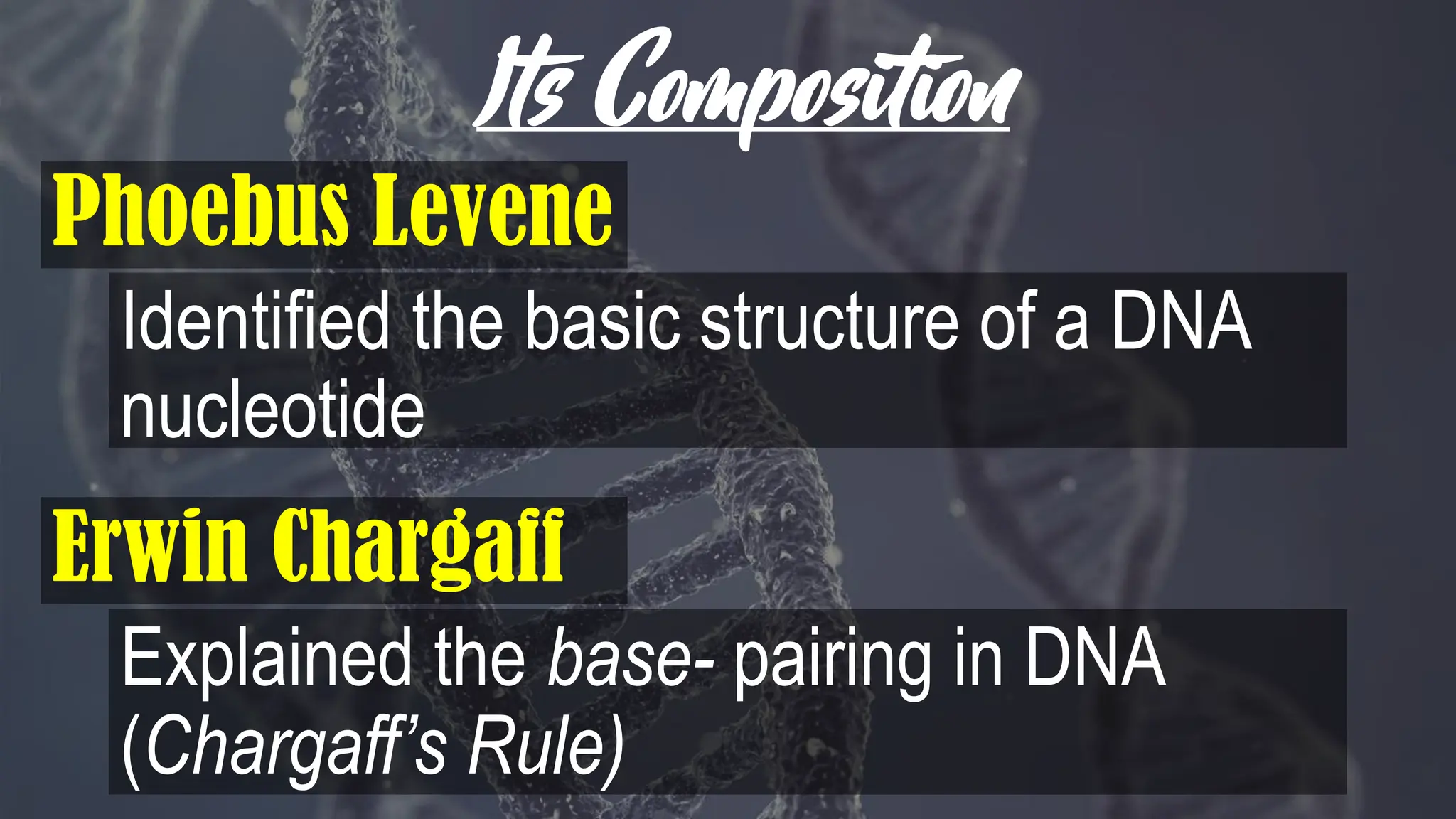 DNA Replication and Protein Synthesis.pdf