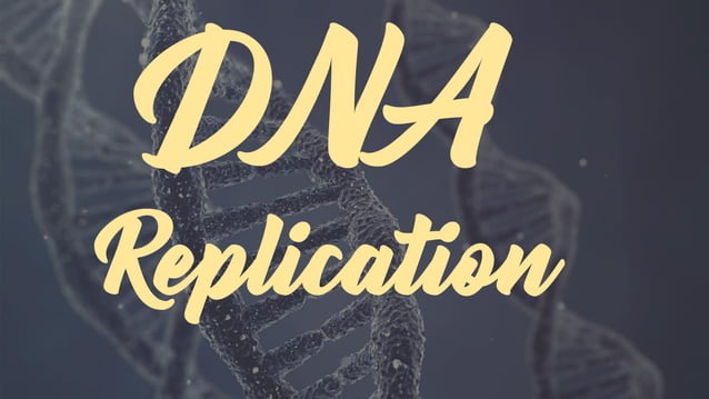 DNA Replication and Protein Synthesis.pdf