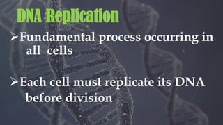 DNA Replication and Protein Synthesis.pdf