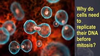 DNA Replication and Protein Synthesis.pdf